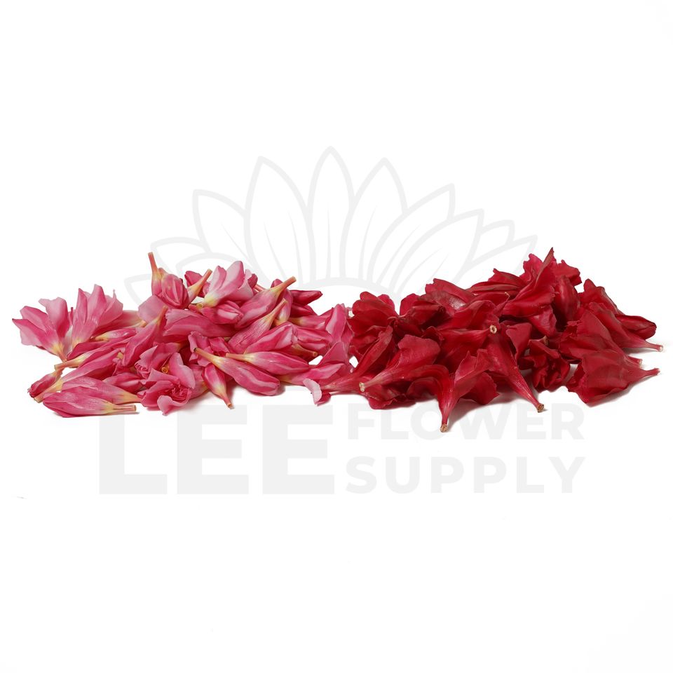 Arali – Lee Flower Supply