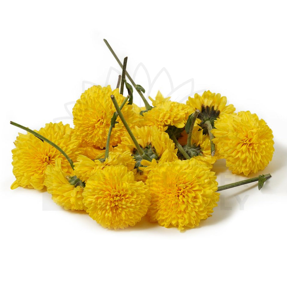 Fresh Cut Flowers – Lee Flower Supply