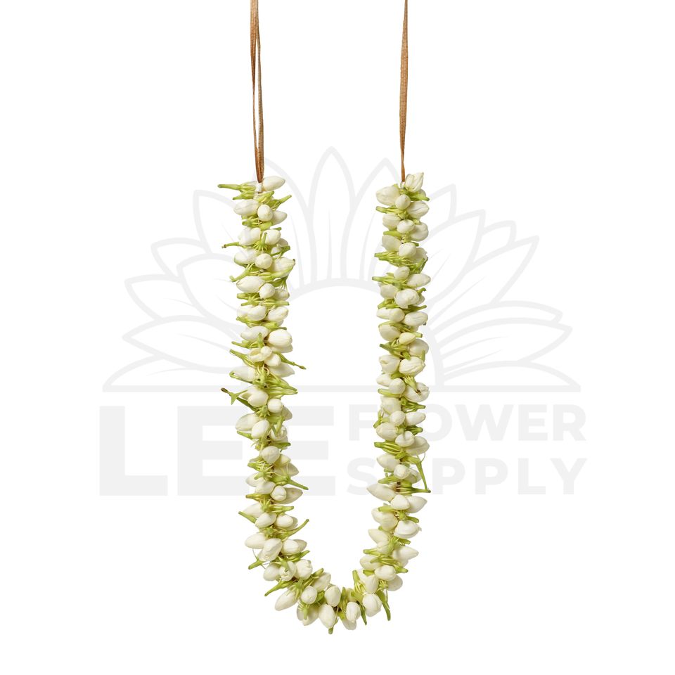 Banana String Jasmine Kattai – Lee Flower Supply