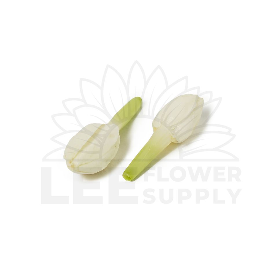 Fresh Jasmine Flower – Lee Flower Supply