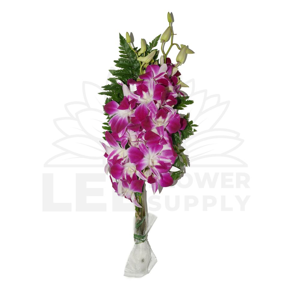 Orchid Stalk with Fern – Lee Flower Supply